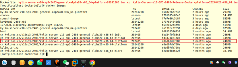 银河麒麟服务器操作系统V10 SP3 2403 x86版本 docker镜像二次定制 - 国产操作系统宝典